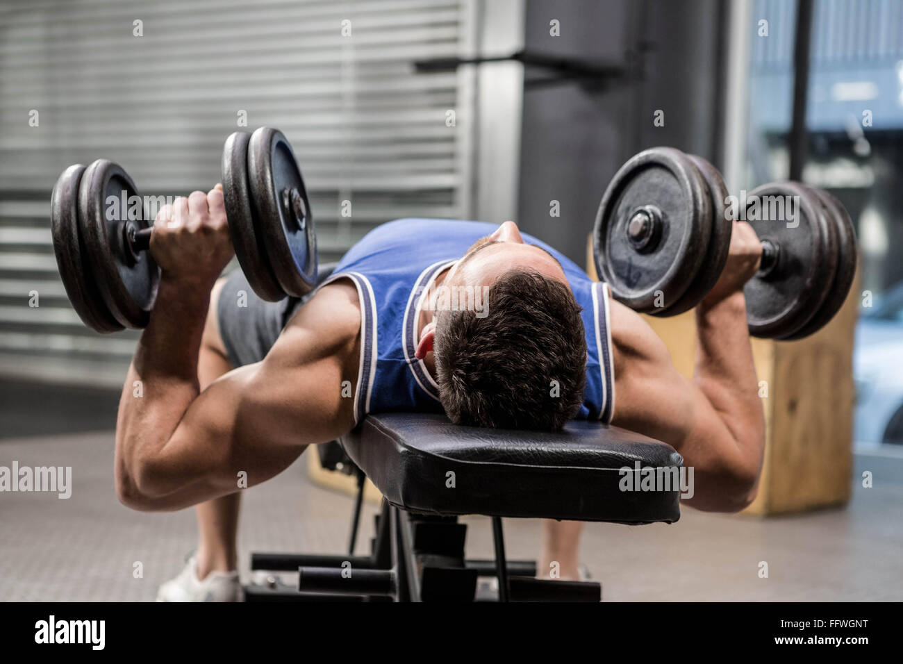 Muscular man on bench lifting dumbbells Stock Photo - Alamy