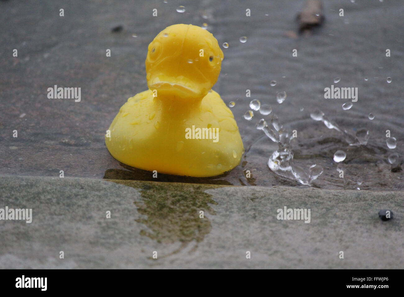 Weather for ducks, continued heavy rain sweeps across the UK from the ...