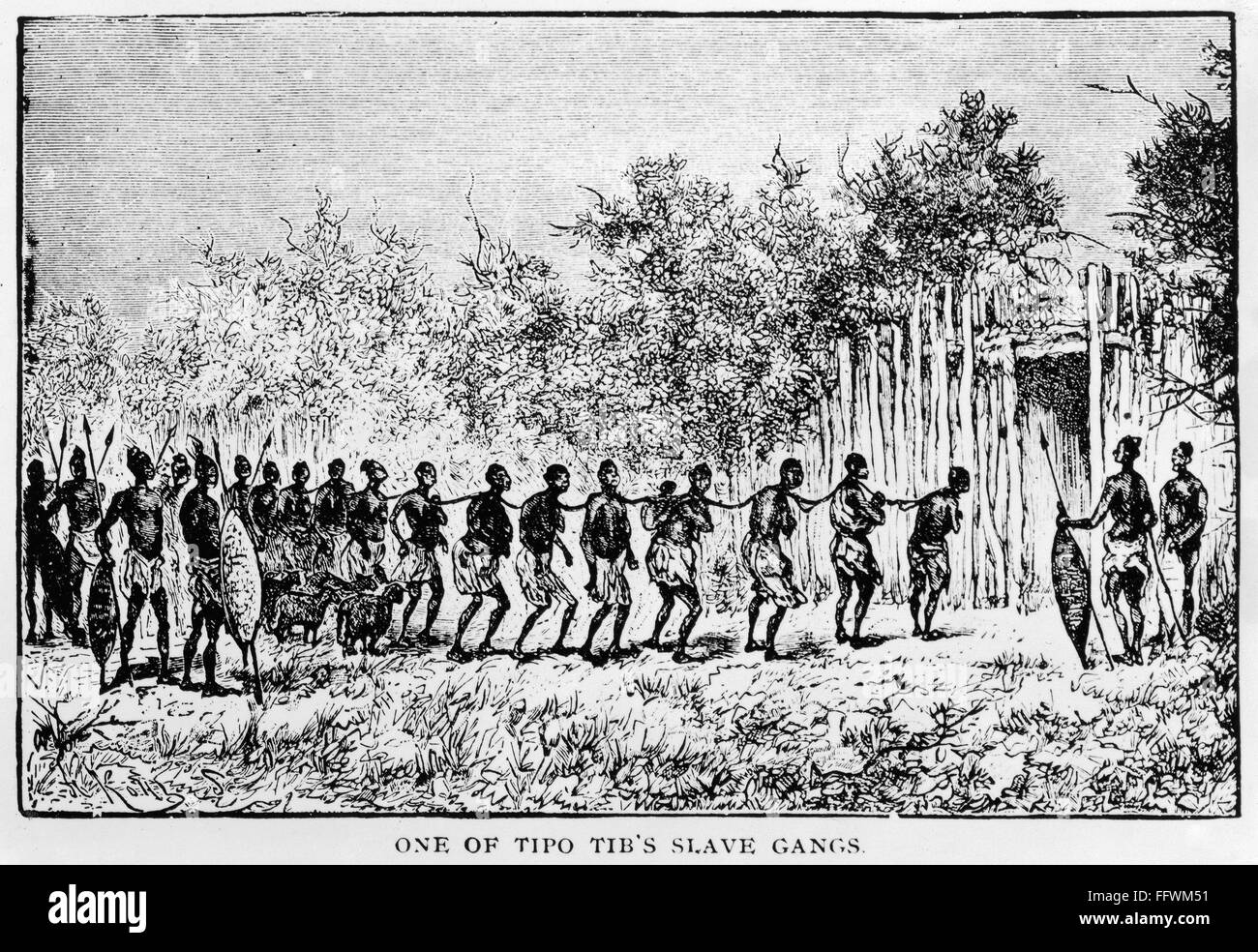 SLAVE TRADE, c1890. /nCaptive slaves to be sold by Arab slave trader ...