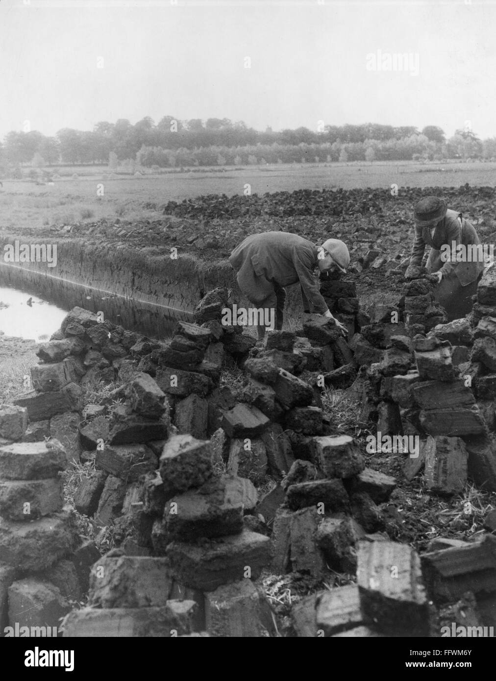 IRELAND: PEAT DIGGING. /nAn Irish man and woman digging for peat to use ...