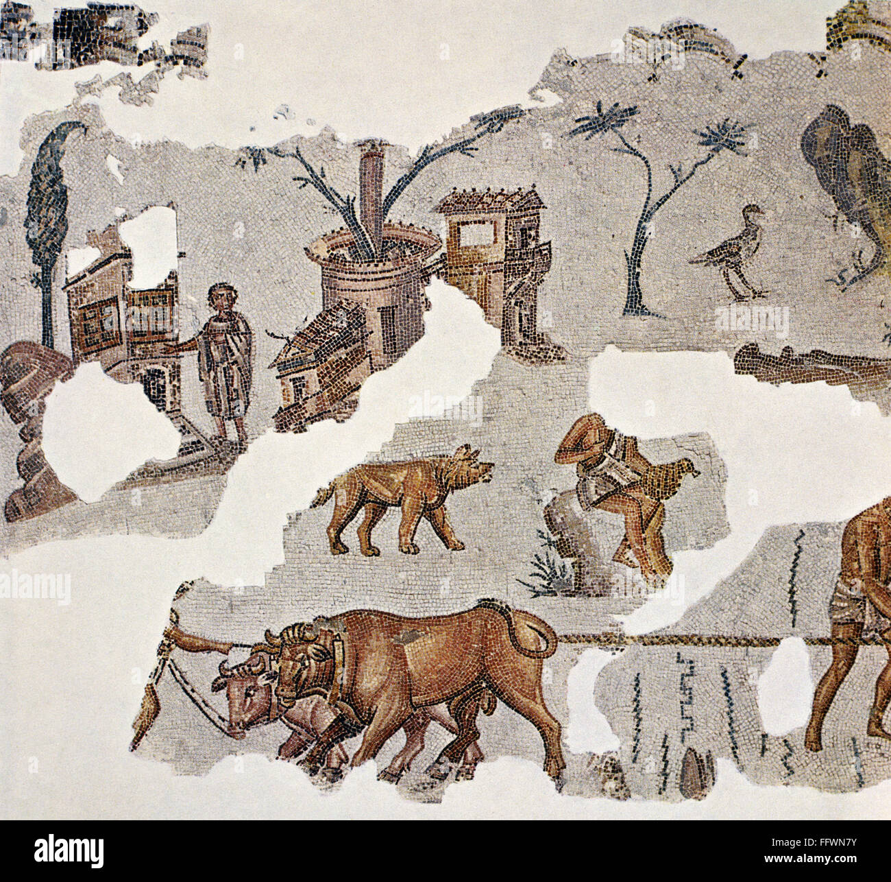 ROMAN MOSAIC: FARMING. /nSlaves and oxen working in a field in North ...