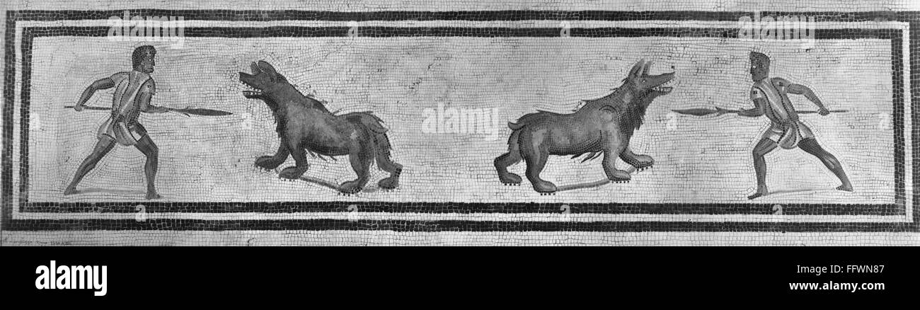 ROMAN MOSAIC: BESTIARII. /nBestiarii fighting bears. Pavement mosaic ...