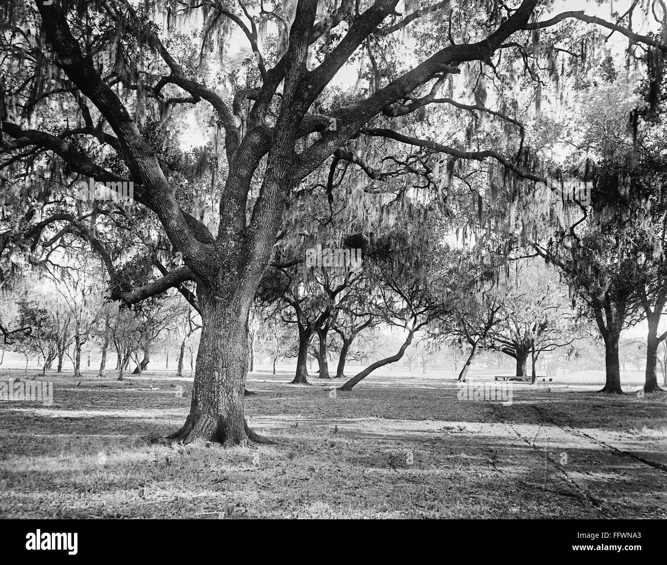 DUELING GROUNDS, c1900. /nOld dueling grounds in New Orleans, Louisiana ...