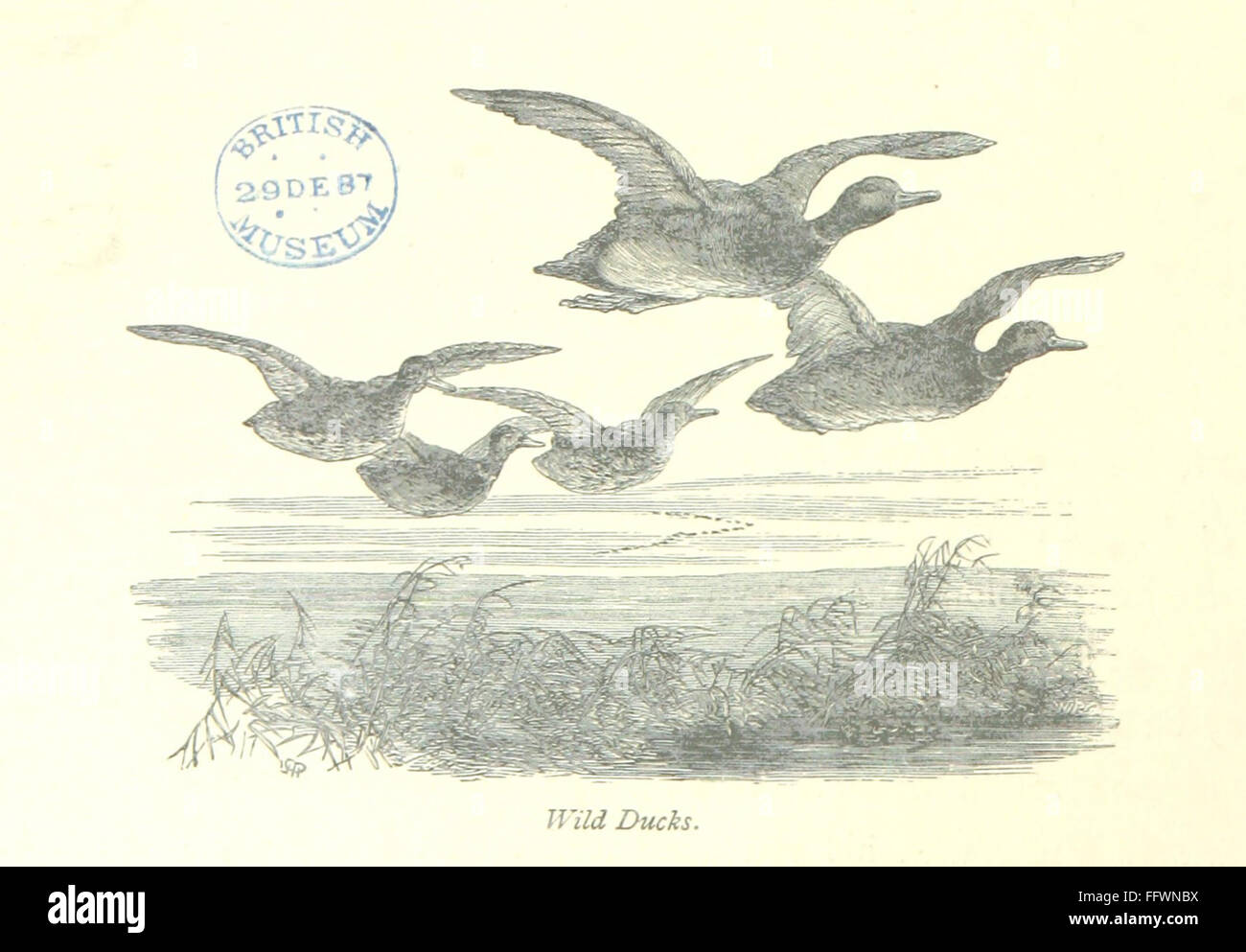 This book explores the full length of the Thames River, from its source ...