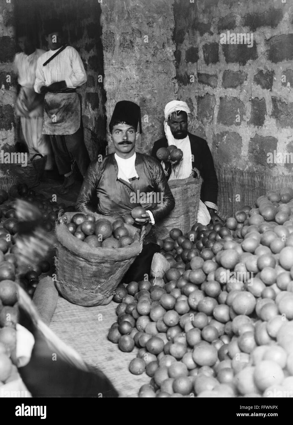 JAFFA: GRADING ORANGES. /nWorkers grading oranges at a packing house in ...