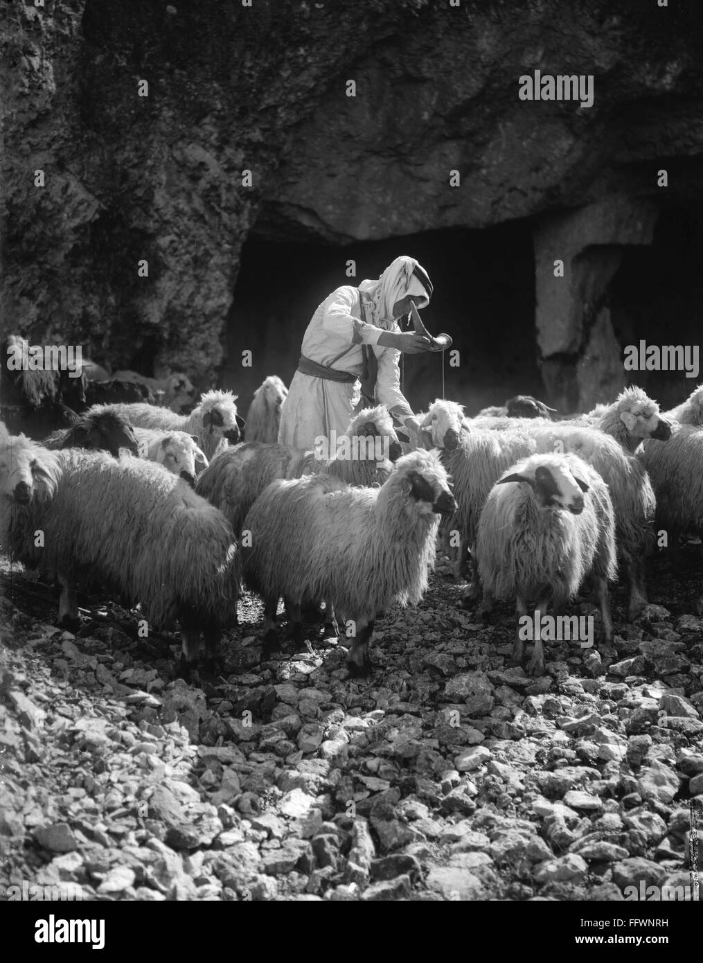HOLY LAND: SHEPHERD, c1910. /nA shepherd pouring oil on the head of a ...