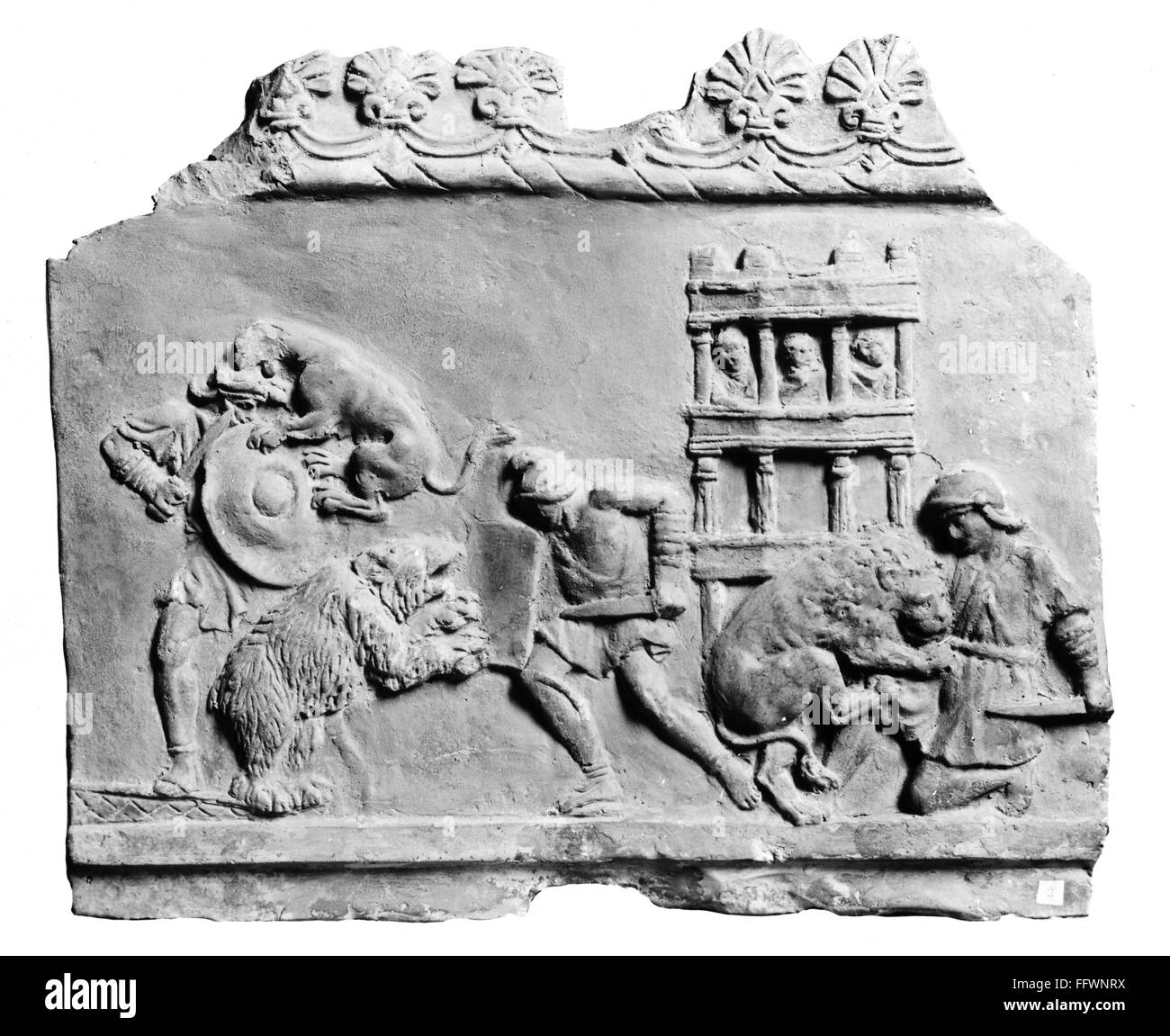 Bear circus rome hi-res stock photography and images - Alamy