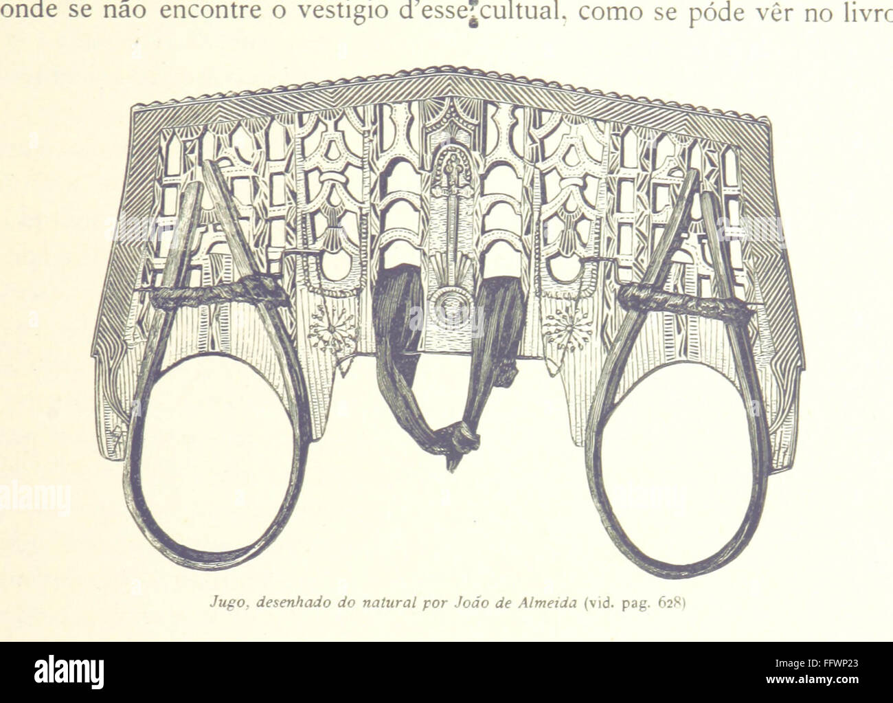 'O Minho Pittoresco' is a luxury edition book that offers a visual and ...