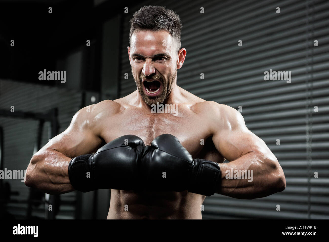 Angry shirtless man with boxe gloves shouting Stock Photo - Alamy