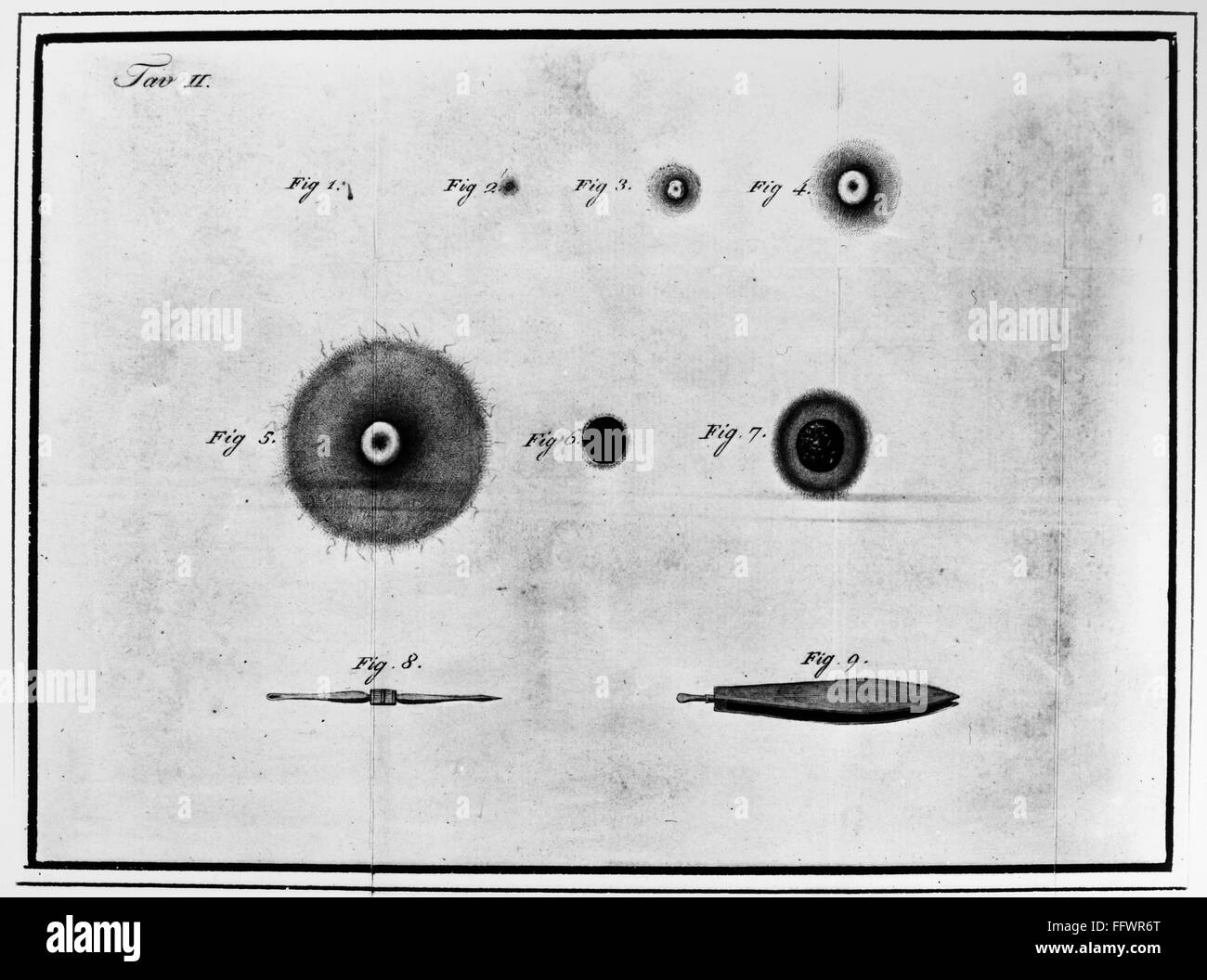 SMALLPOX VACCINATION, 1801. /nDiagram showing the stages of the blister ...