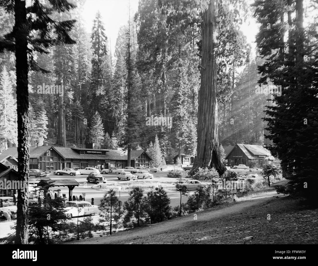 SEQUOIA NATIONAL PARK. /nView of the Giant Forest Village with the ...