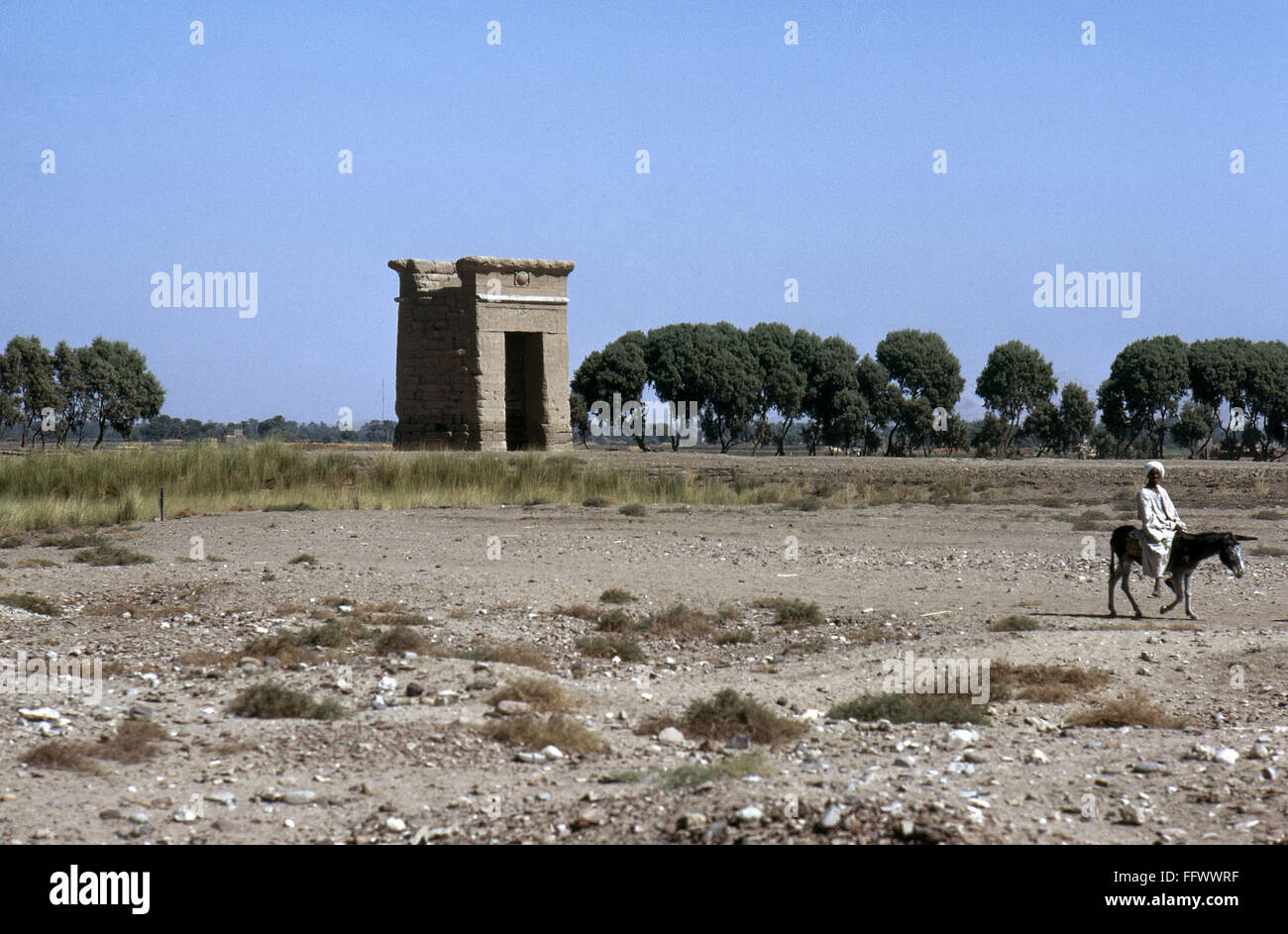 EGYPT: DENDERA, c1975. /nA man riding a donkey past the ruins of a ...