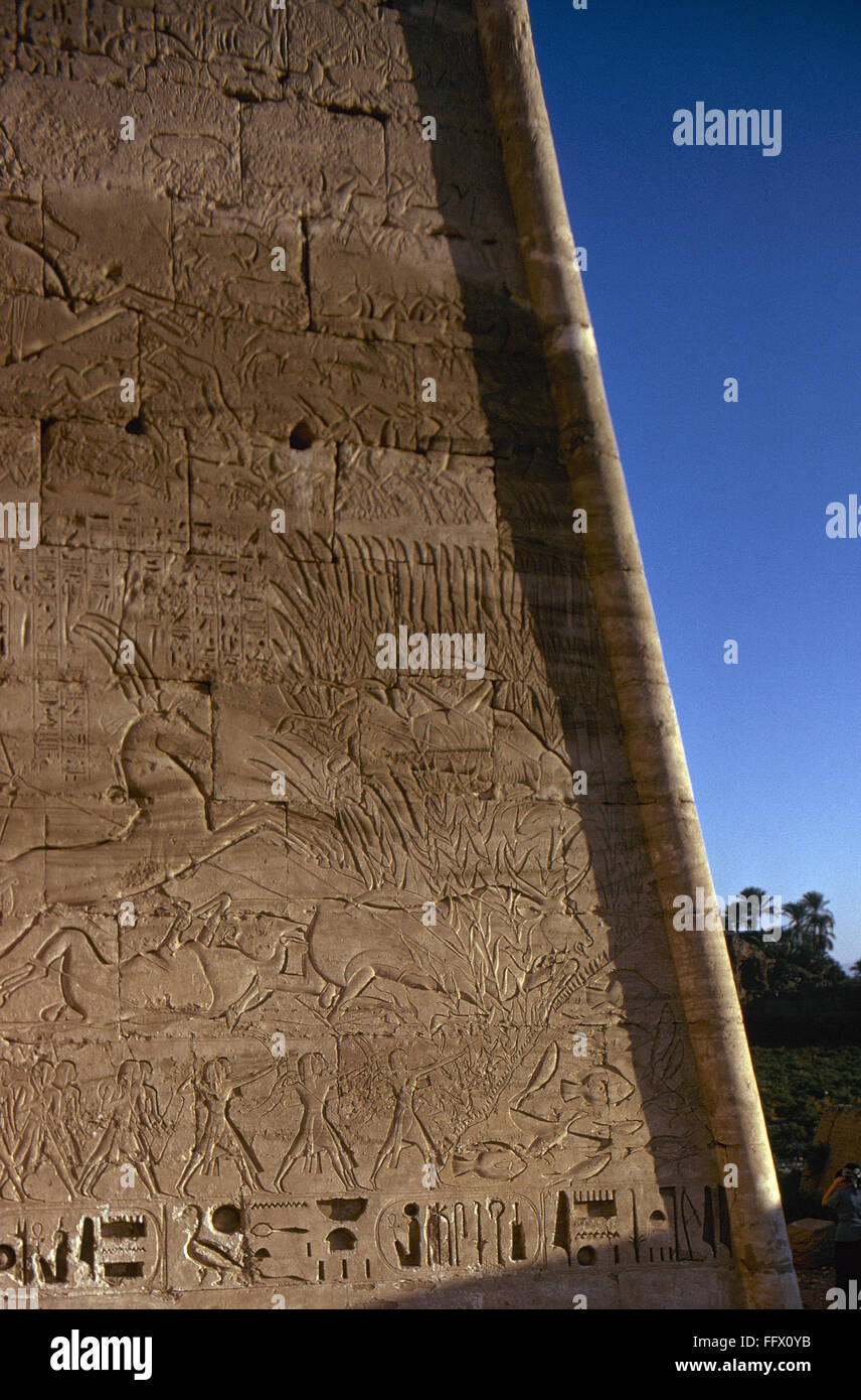 EGYPT: MEDINET HABU. /nDetail of a hunting scene, depicting a wild ...