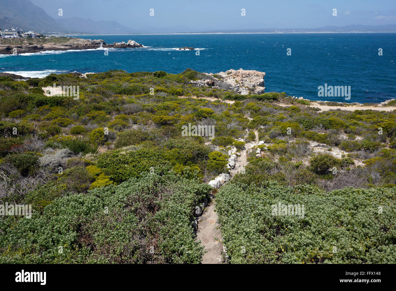 The seaside village of Hermanus along the Walker Bay coastline of the ...