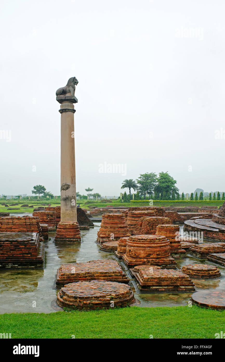 Ashoka pillars hi-res stock photography and images - Alamy