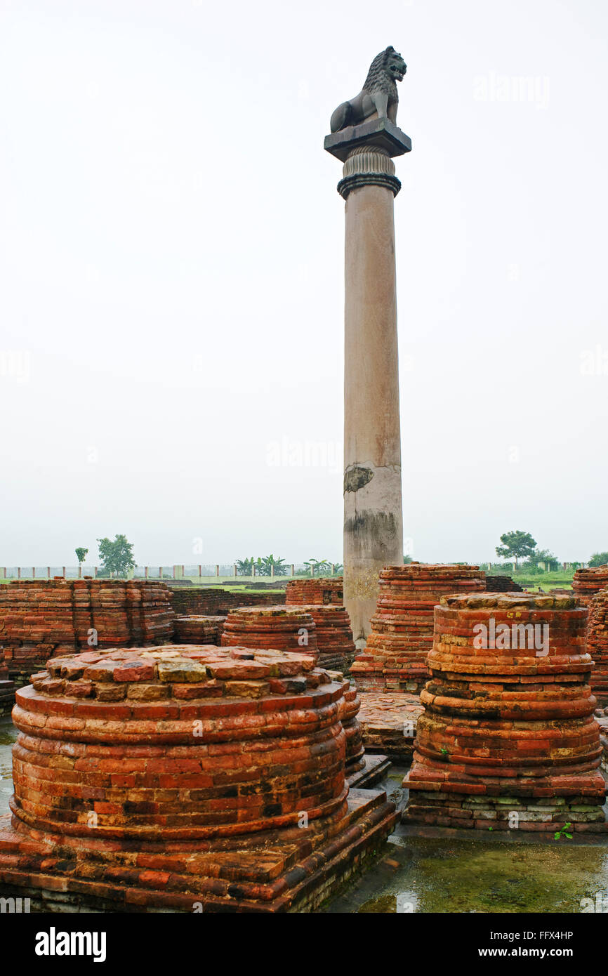 Ashoka pillars hi-res stock photography and images - Alamy