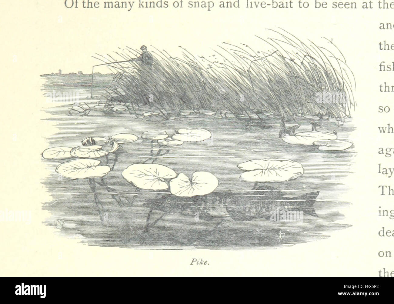 This vintage book details the Thames River from its source to the sea ...