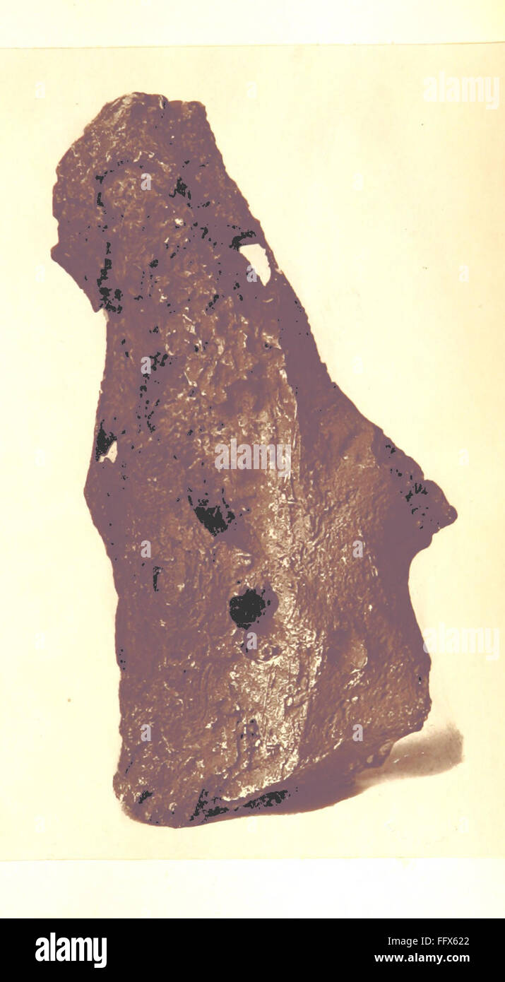 This book examines the origins of the Chalk and Flint formations ...