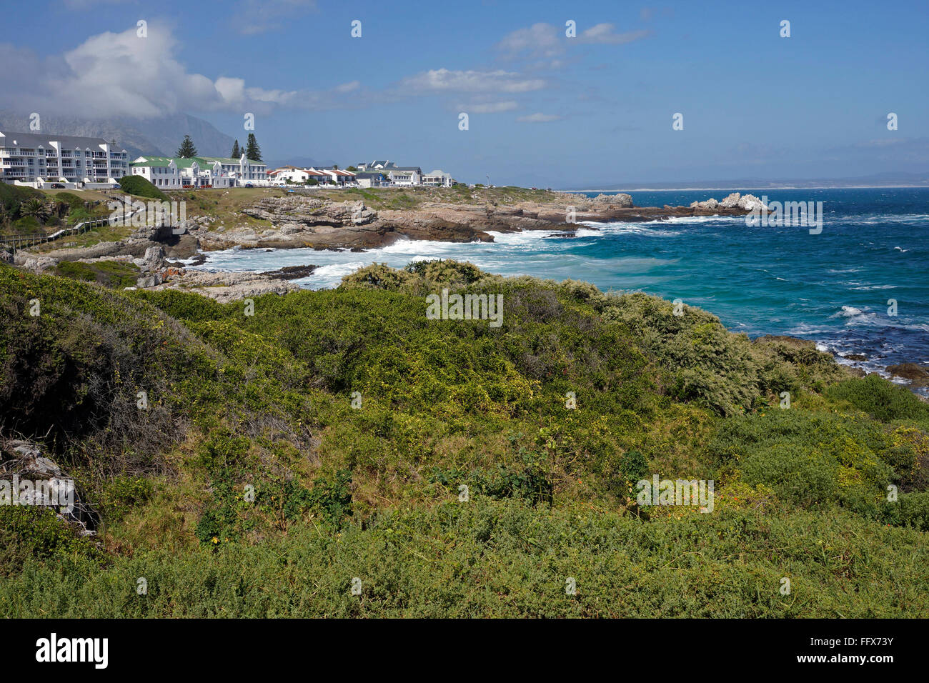The seaside village of Hermanus along the Walker Bay coastline of the ...
