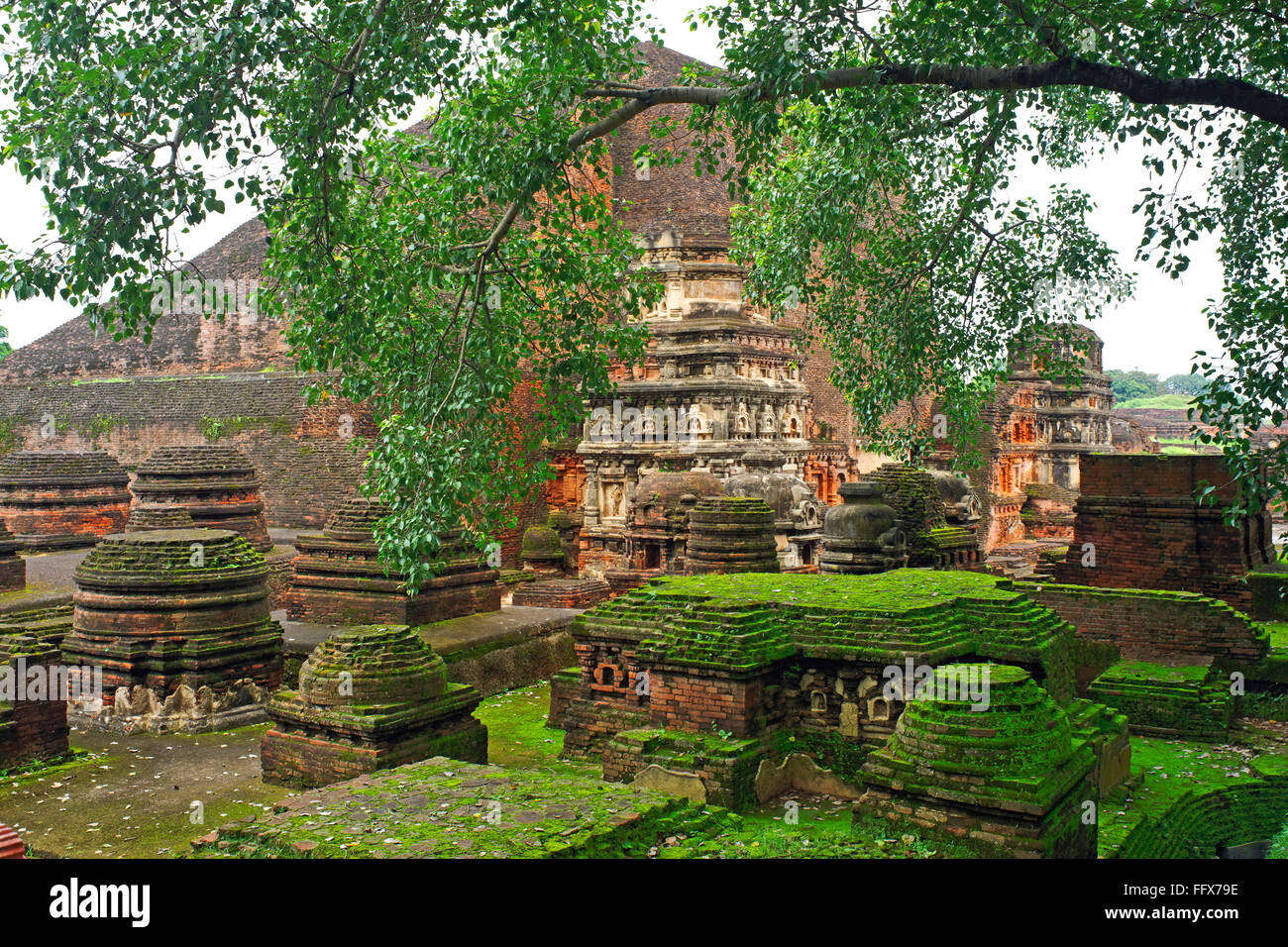 Remains of ancient Nalanda university , Bihar , India Stock Photo - Alamy