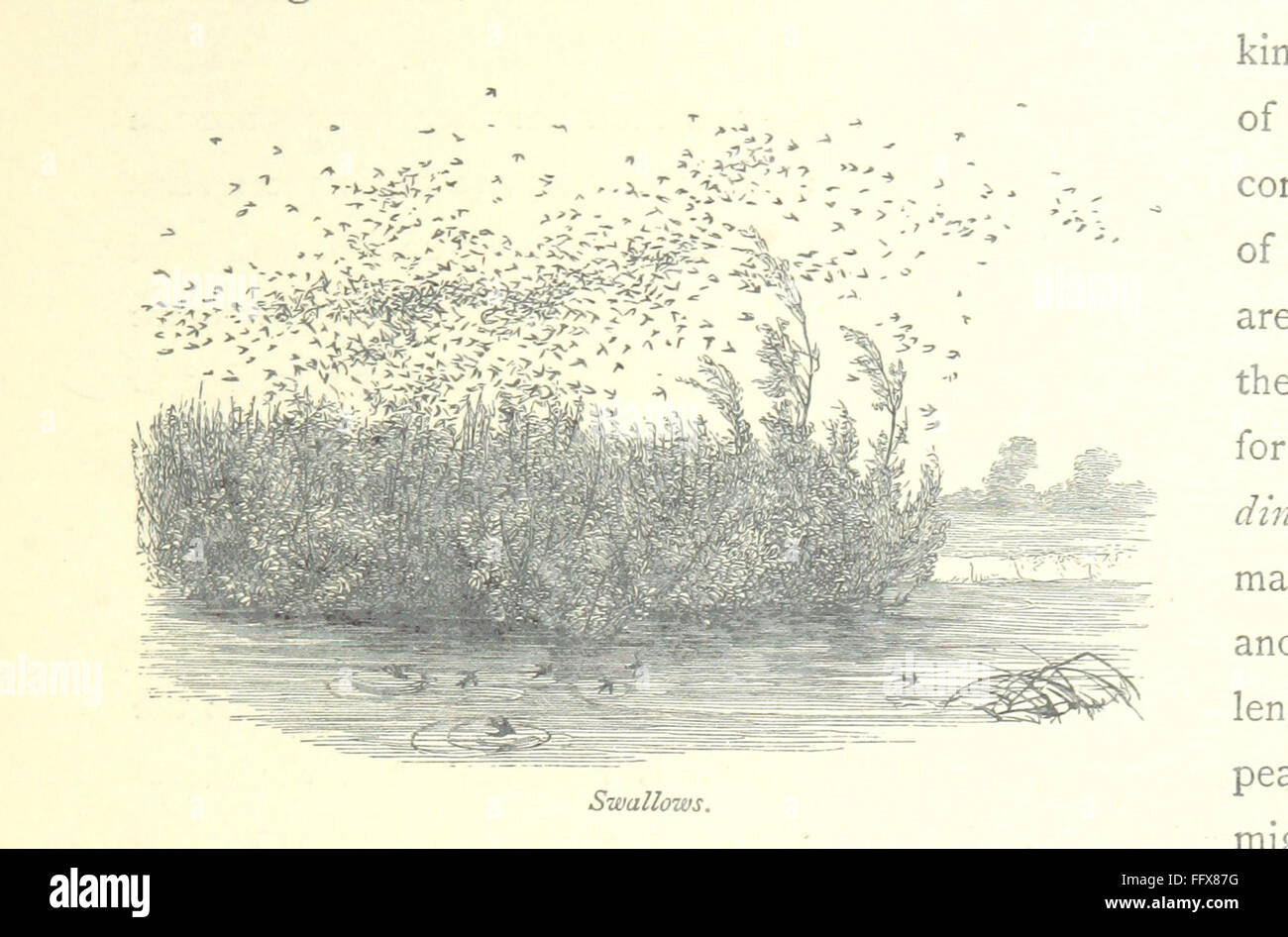 'The Thames from its Source to the Sea' traces the course of the River ...