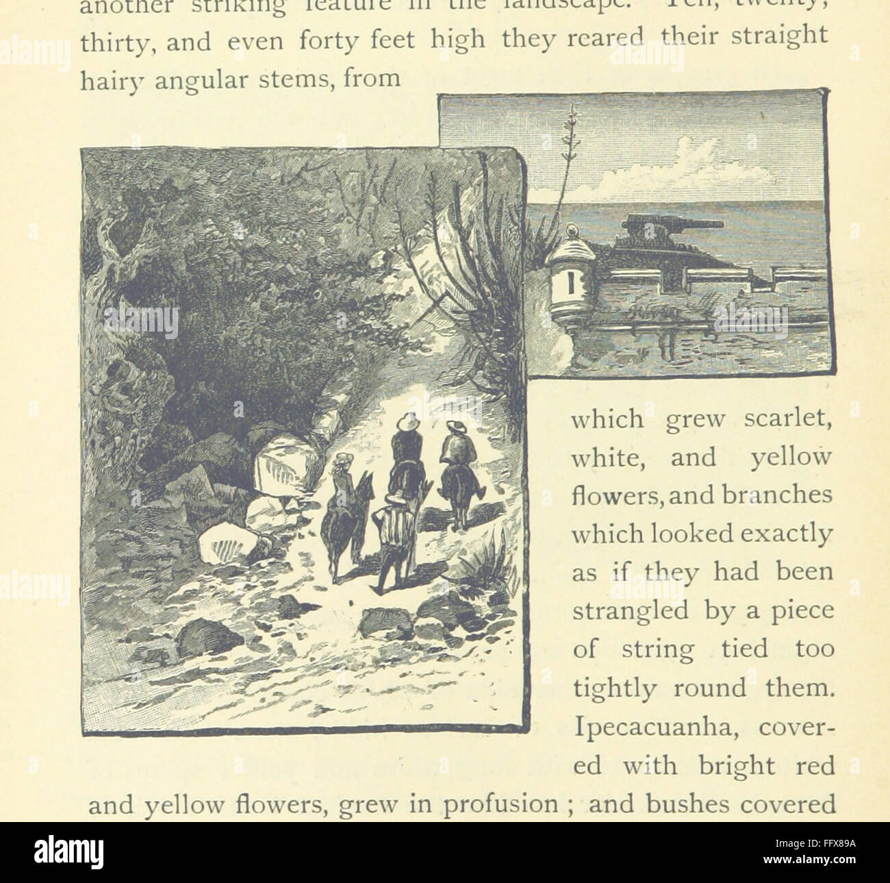 'In the Trades, the Tropics, & the Roaring Forties' is a travel ...