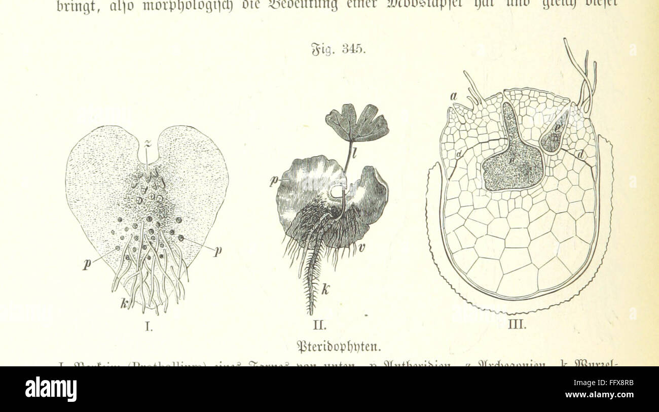 'Unser Wissen von der Erde' is a comprehensive 1886 German geography ...