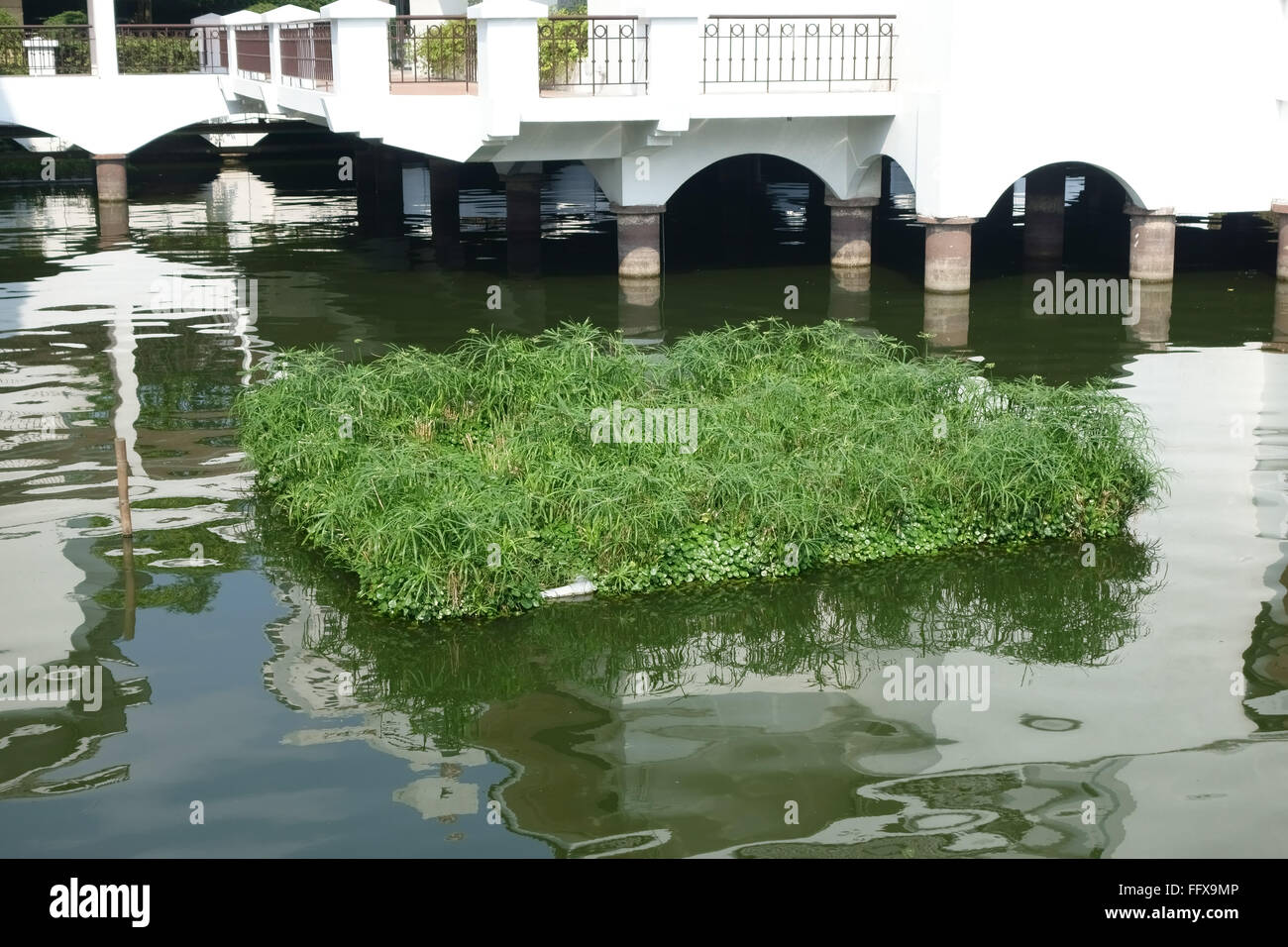 Floating islands of various plants anchored in a lake to attract ...