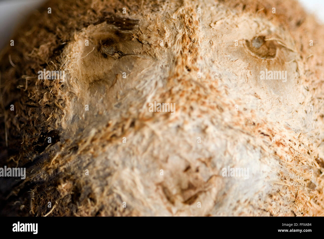 Coconut face hi-res stock photography and images - Alamy