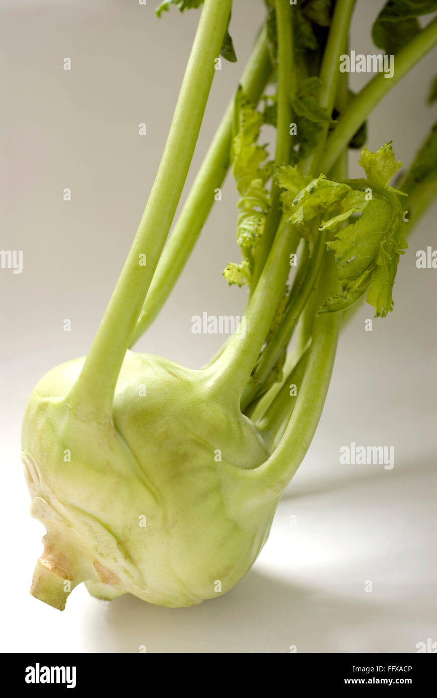 Knolkhol green fresh vegetable single white background Stock Photo - Alamy