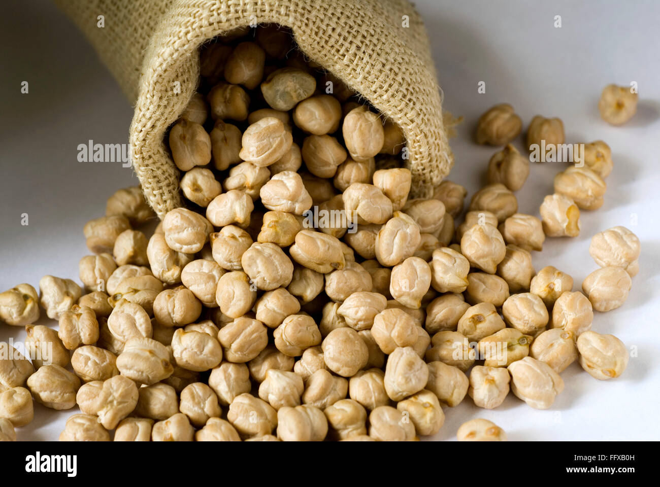 Chole large white Dried gram seeds in small gunny sack legume vegetable ...