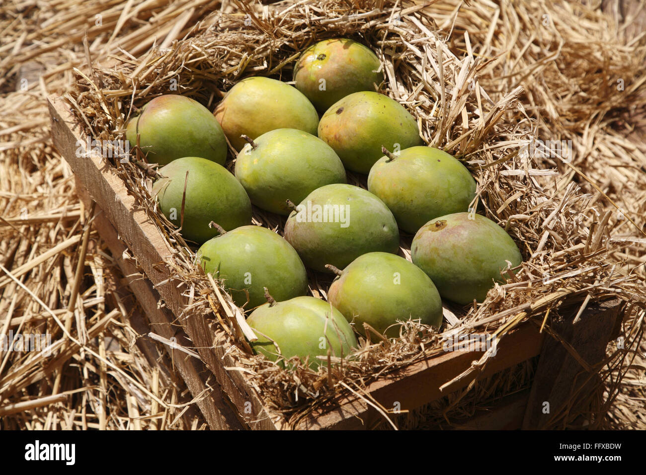 Alphanso fruits hi-res stock photography and images - Alamy