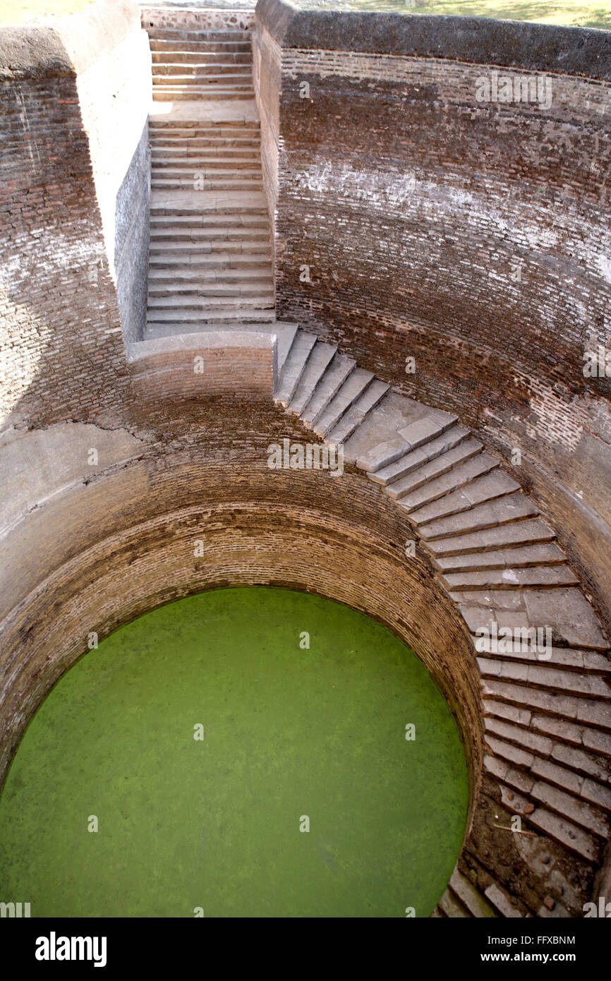 Step well , Champaner , Pawagadh , Panchmahal at Baroda , Gujarat ...