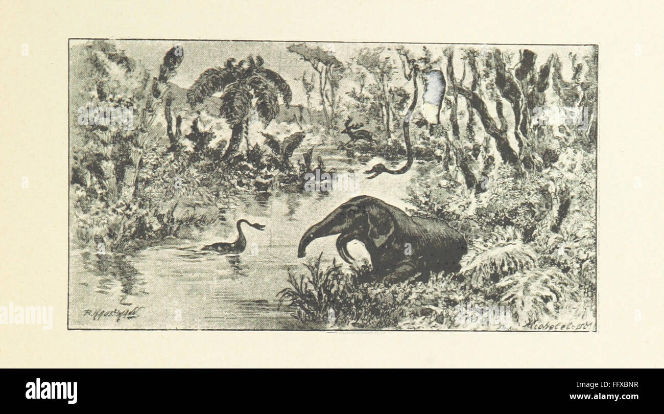 This book traces the history of Paris from its origins up to the year ...