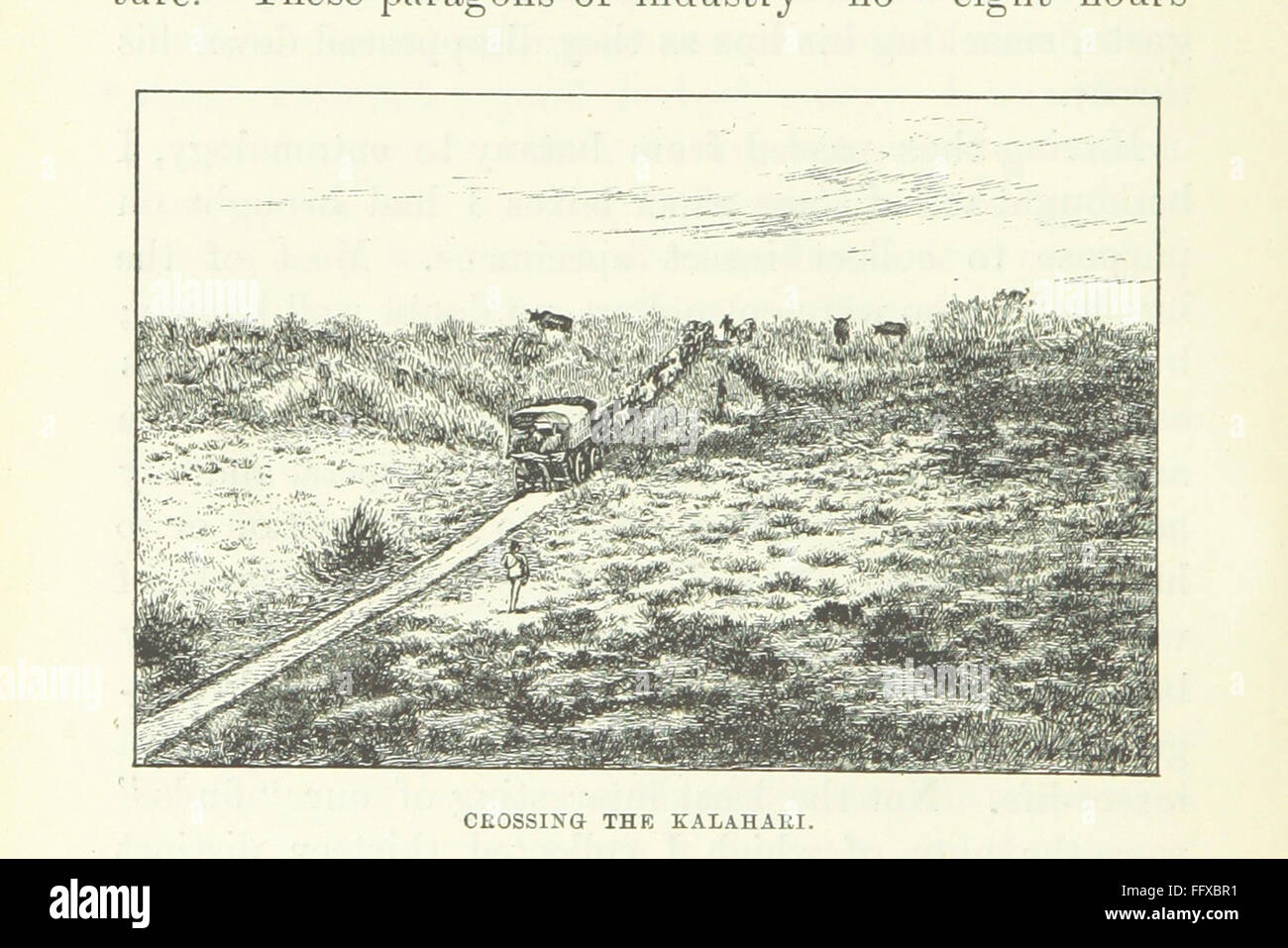 'Through the Kalahari Desert' recounts a journey through the Kalahari ...