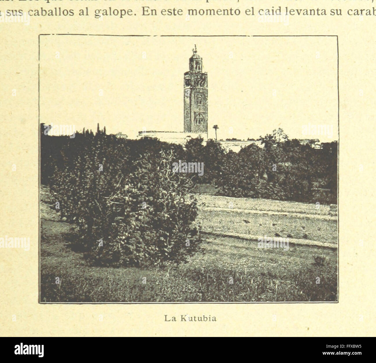 This illustrated work provides a comprehensive description of the ...