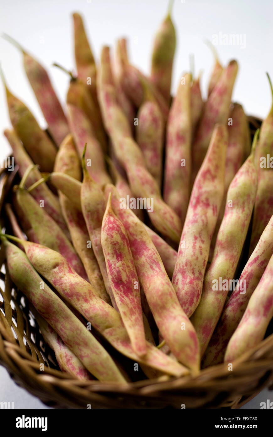 Rajma beans in round wooden bowl pods cream and dark pink legume ...