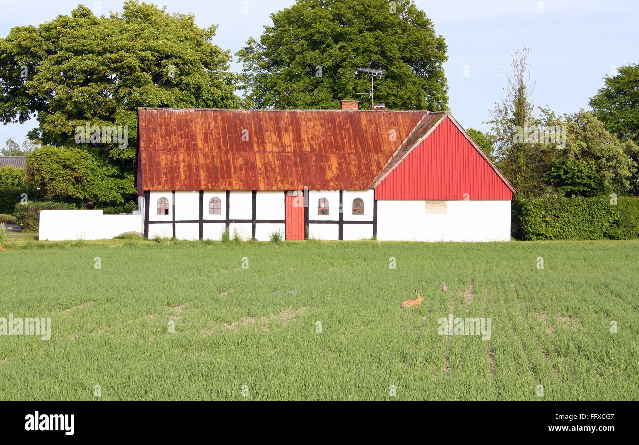Old barn on the island Bornholm. Denmark Stock Photo - Alamy