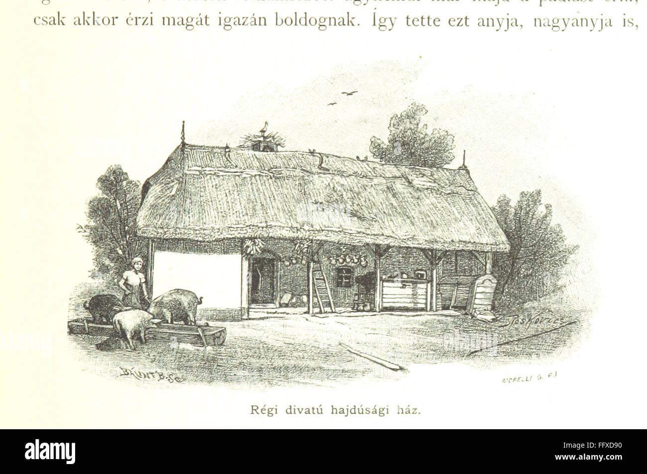 This Hungarian work explores the Austrian-Hungarian Empire through ...