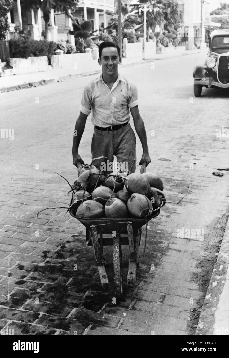 KEY WEST: COCONUTS, 1938. /nMan with a wheelbarrow of coconuts ...