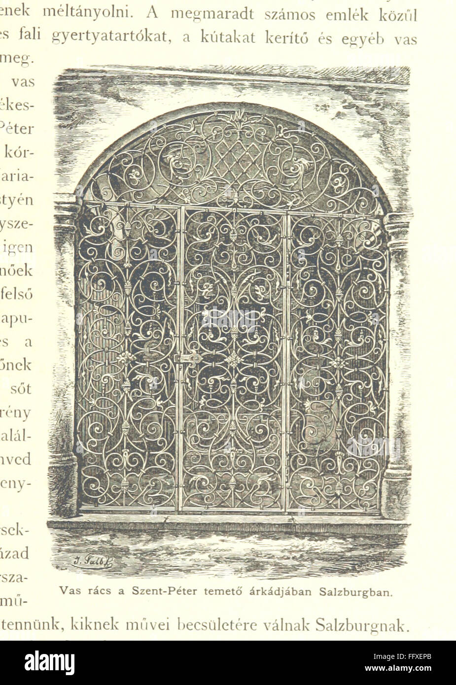 This Hungarian-language book offers an in-depth look at the Austro ...