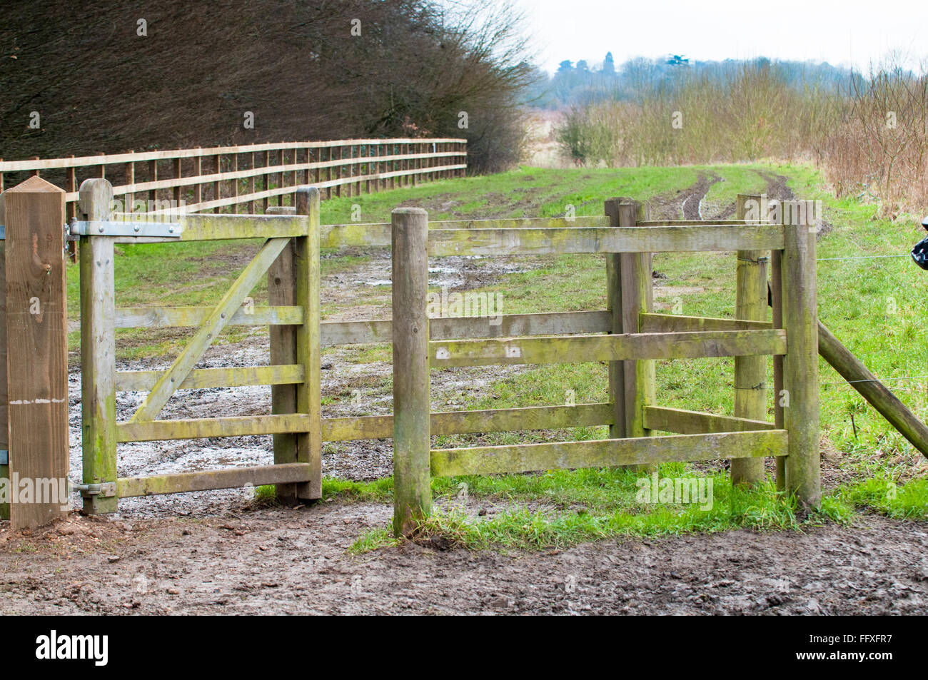 Open gate to a muddy countryside path Stock Photo - Alamy