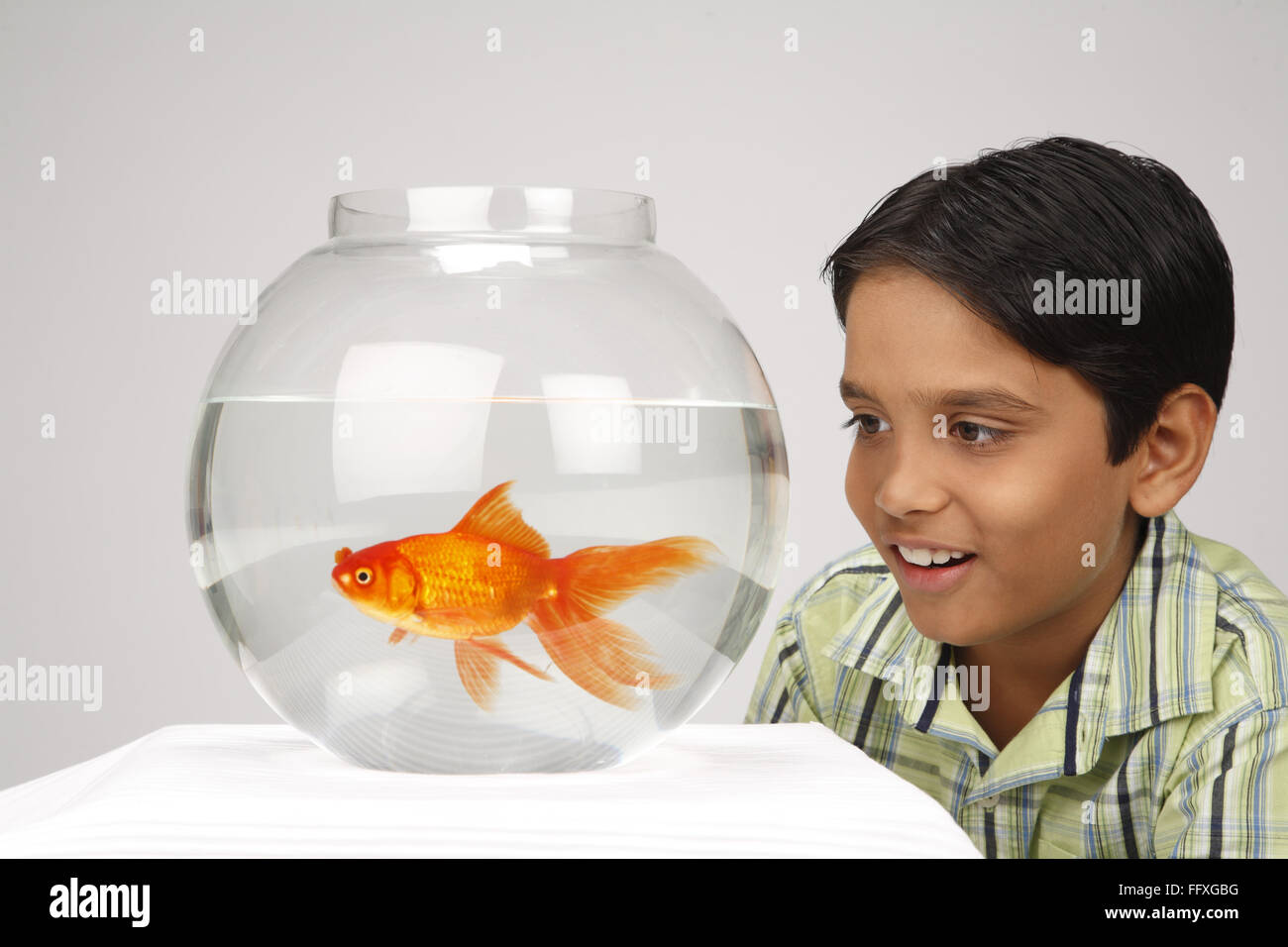 Ten year old boy watching movement of gold fish in glass bowl MR#703V ...