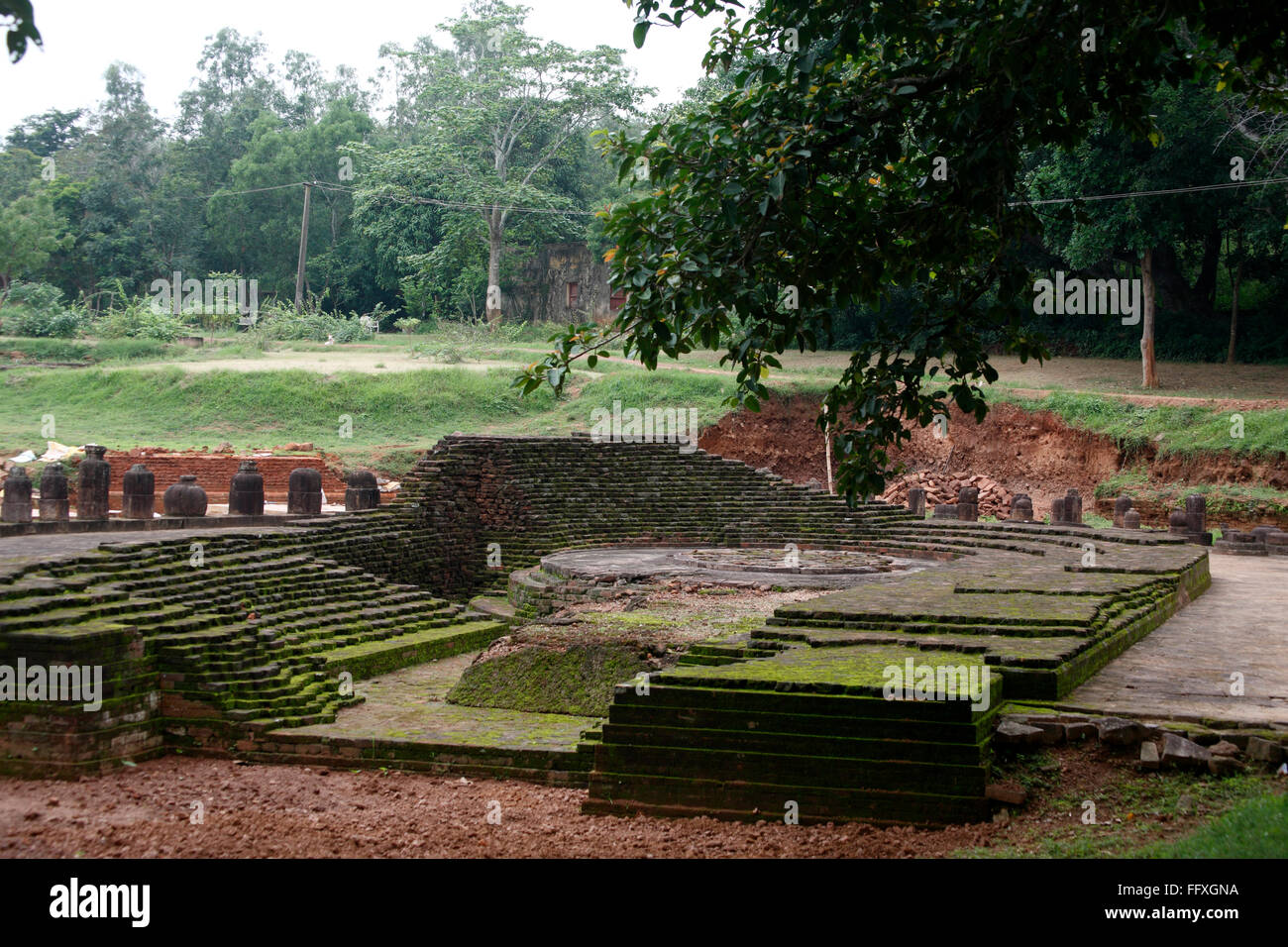 Ruined Buddha stupa in heritage Buddhist excavated site , Lalitgiri ...