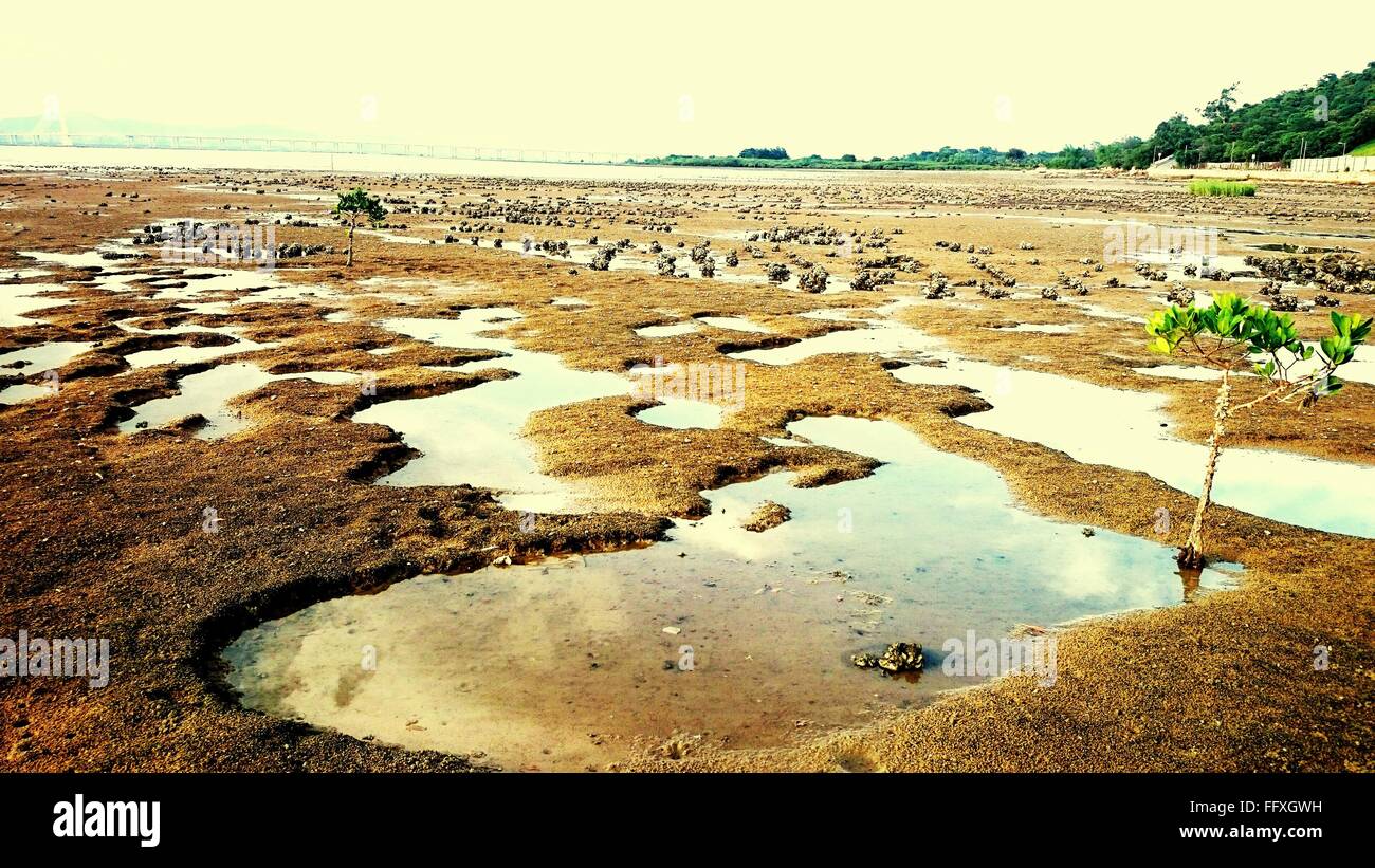 Washed out sky hi-res stock photography and images - Alamy