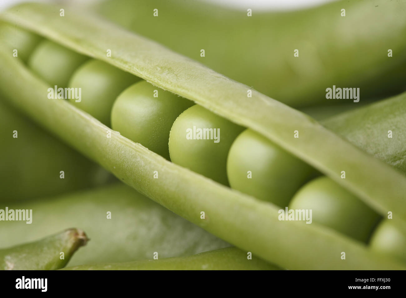 Vegetable , Green Pea pod Pisum sativum slightly opened pod showing ...