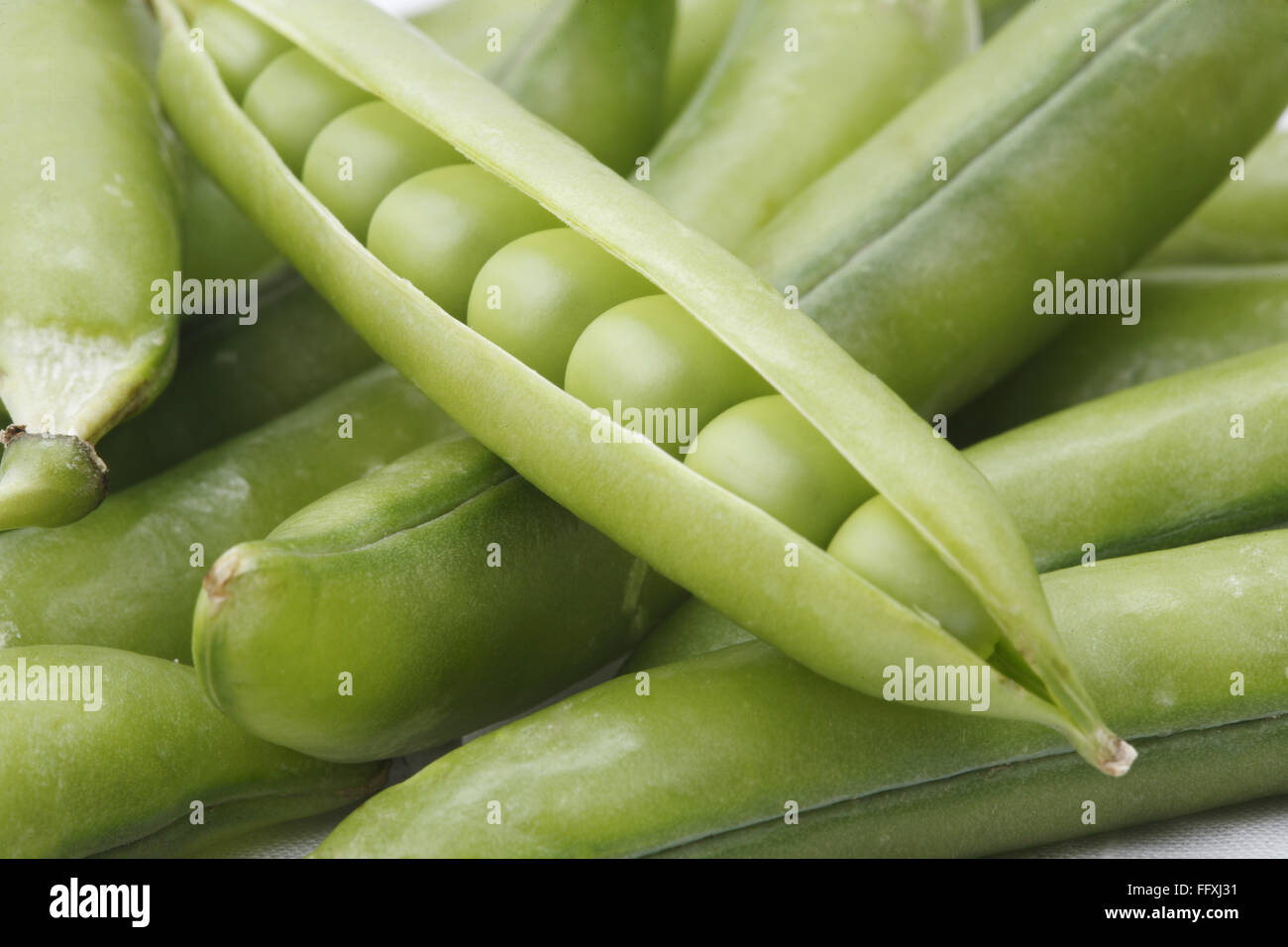 Vegetable, Green Pea pod Pisum sativum slightly opened pod kept on ...