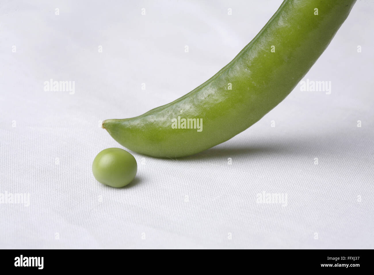 Vegetable , one Green Peas pod Pisum sativum with unpeel pea arranged ...
