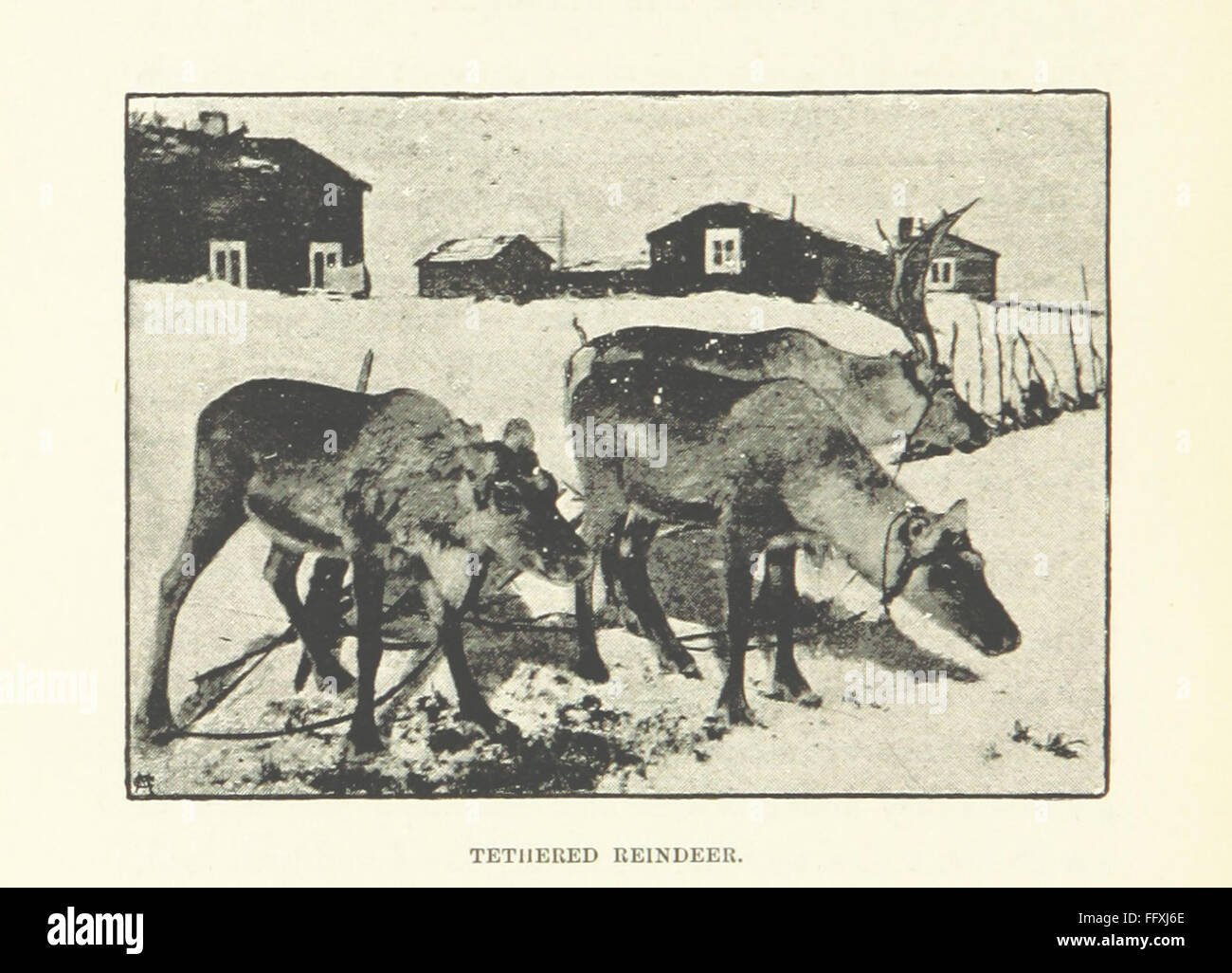 This work describes a journey through the land of the Lapps and Kväns ...