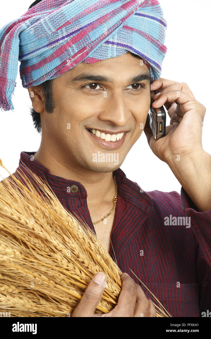 Rich Indian farmer holding harvested golden wheat crops and talking on ...